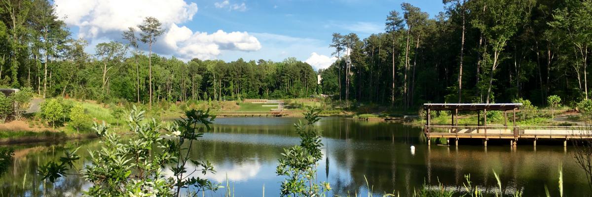 Duke Pond – Wetland and Coasts Center